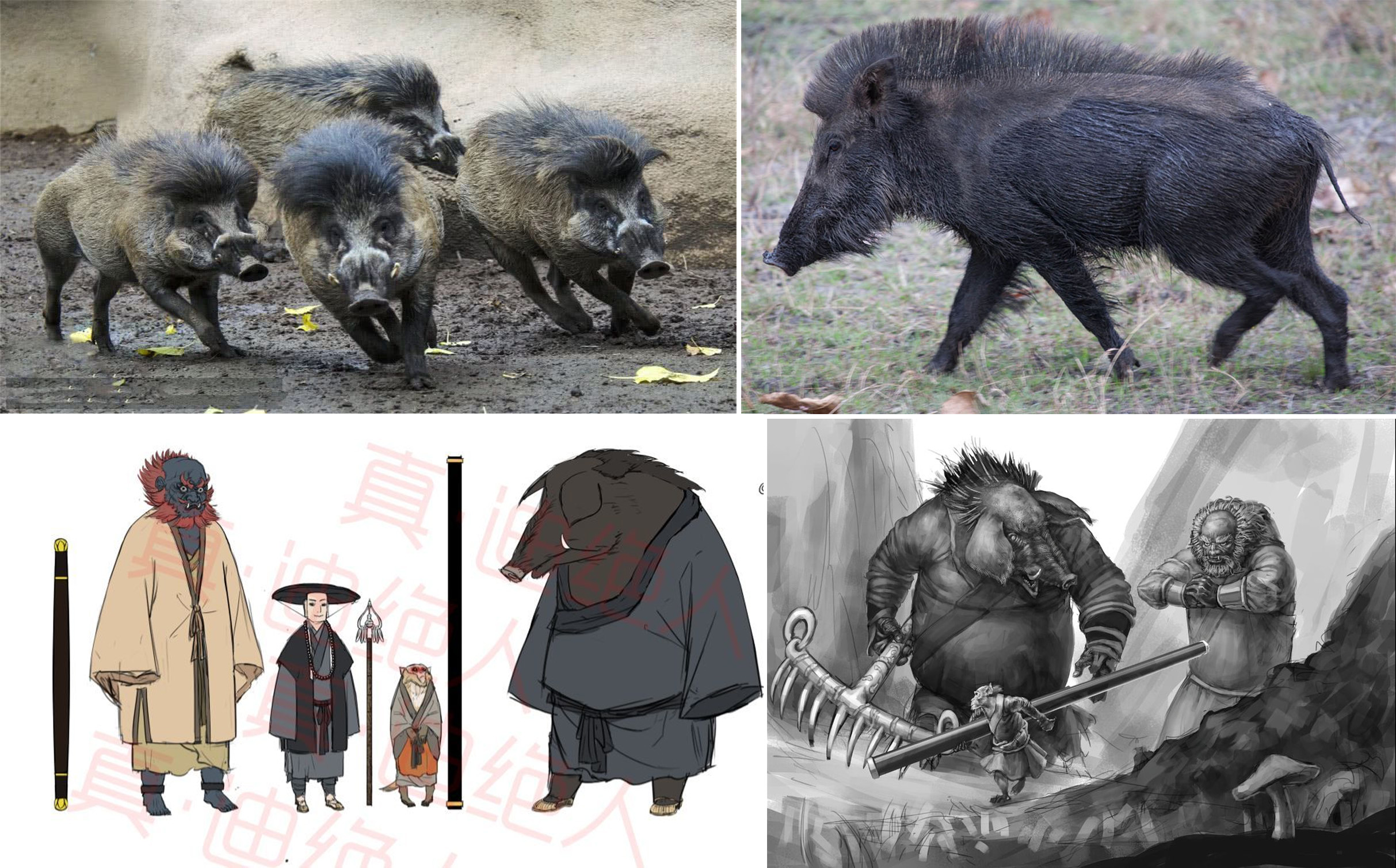 boars-and-accurate-characters | Journey to the West Research